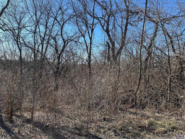 6529 Ridgeview Dr, Ozawkie, KS 66070