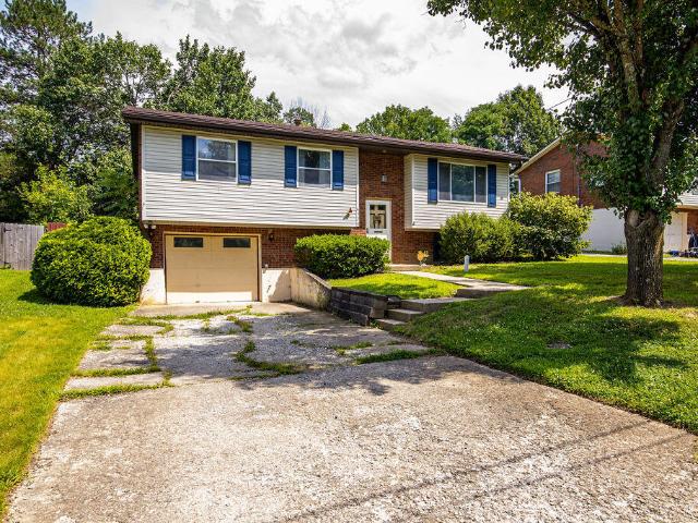 6520 Rosetta Drive