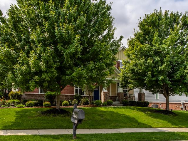 6523 Paddle Drive