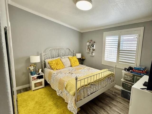 652 Hermitage 652