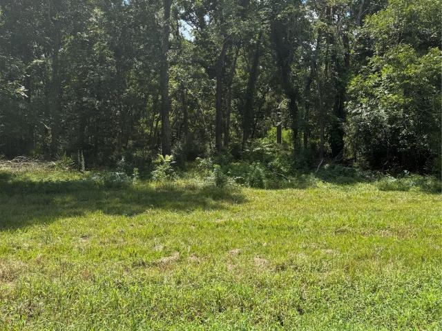 652 Pony Trail, Angleton, TX 77515 | MLS #84891 | Compass