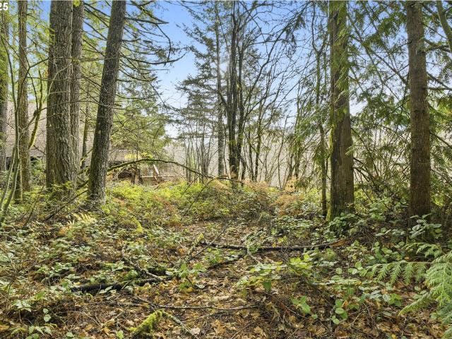 65344 e sandy river ln