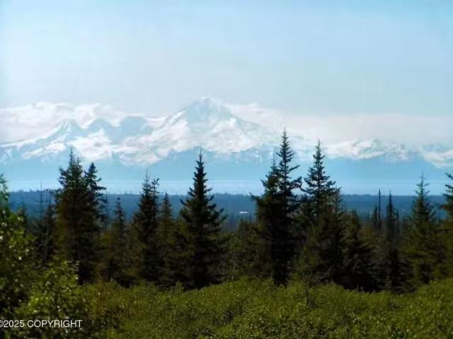 65359 CORABIN RD, ANCHOR POINT, AK 99556 Vacant Land For Sale.