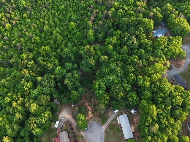 6530 Treetop