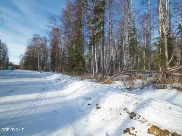 65318 S PARKS HWY, WILLOW, AK 99688 Vacant Land For Sale MLS#.