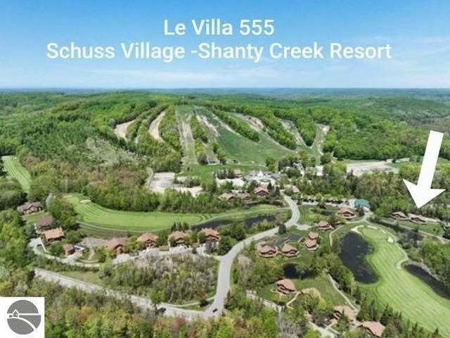 6531 Schuss Mountain Ln, Mancelona, MI 49659