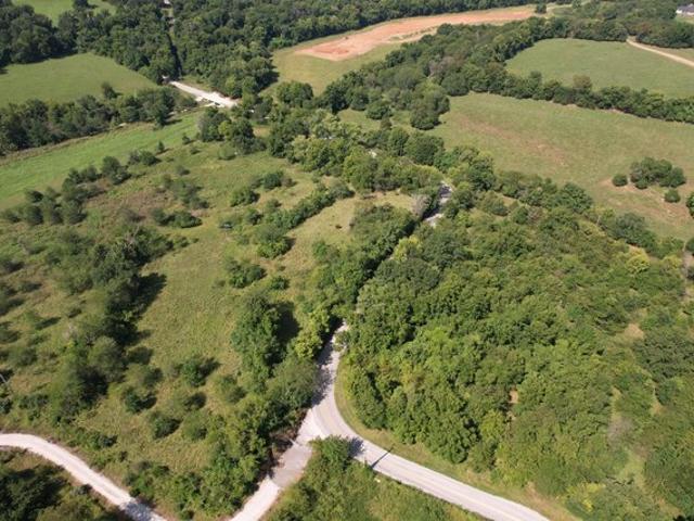 6546 S Farm Road 175, Ozark, MO 65721