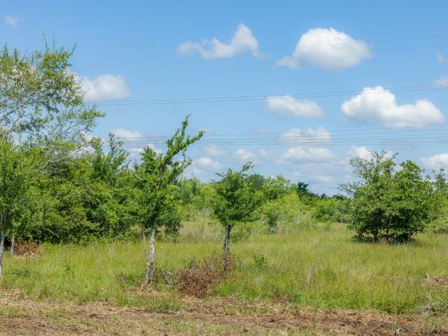 6549 Atakapan Trail