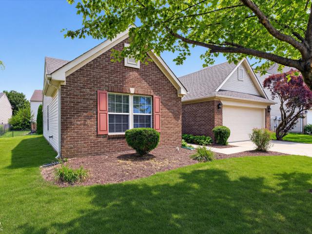 6540 Abby Lane