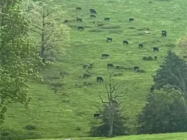 654 COUNTY ROAD 637, BERRYVILLE, AR 72616 Farm For Sale MLS#.