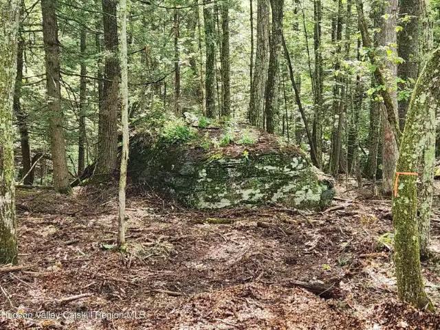 654 Samsonville Road, Kerhonkson, NY 12446 655666074