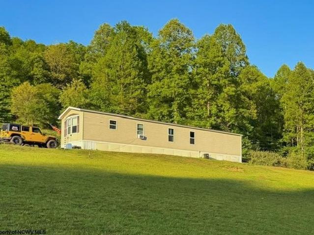 654 Toms Run Rd, Roanoke, WV 26447