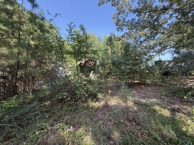 6555 Rabbit Creek Rd, Buchanan, TN 38222
