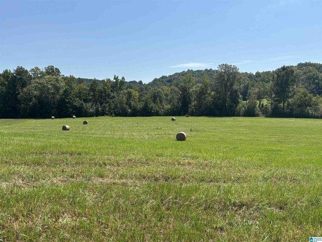 6559 Alabama Highway 174 57 Acres Lot 6, Springville, AL 35146