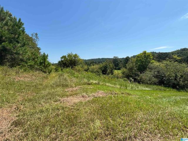 6559 Alabama Highway 174 # 6.57 Acres