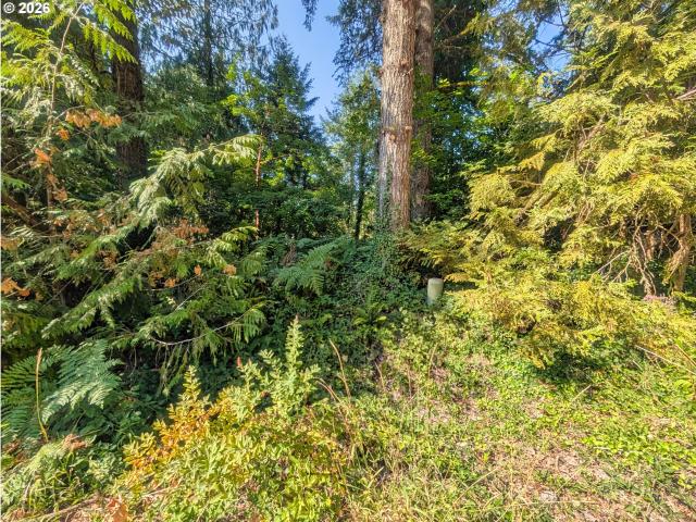 65535 e sandy river ln