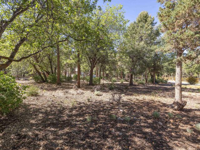 655 Cedar Glen Drive