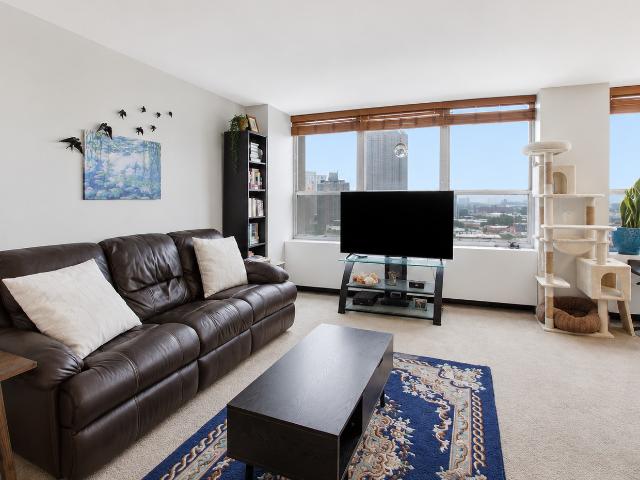 655 W Irving Park Road # 1313