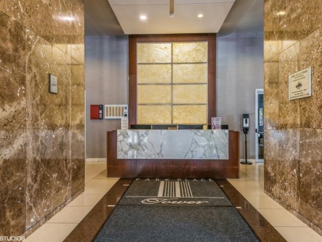 655 W Irving Park Road # 5411