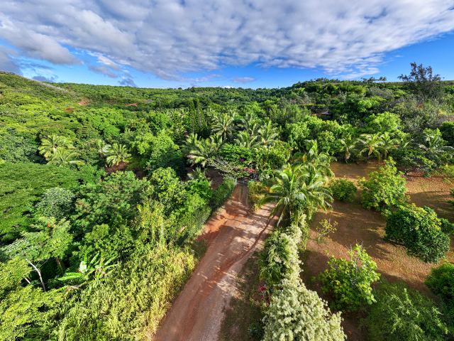 6565 C Koolau Rd, Kilauea, HI 96754 | MLS #729977