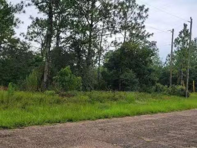 6567 N CLARION TER, CITRUS SPRINGS, FL 34433 Vacant Land For S.