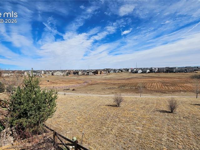 6567 Cottonwood Tree Drive