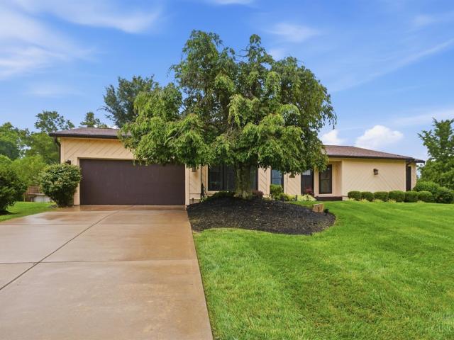 6562 Zebra Court