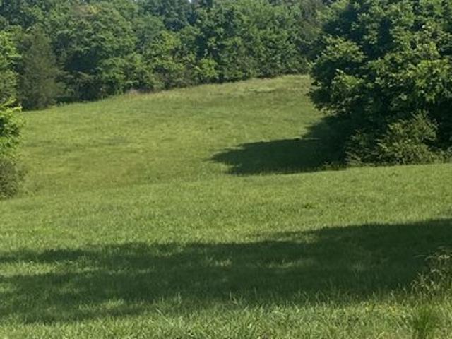 656 County Rd, Anderson, AL 35610