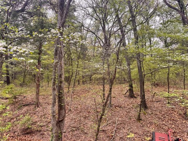 656 County Road 2680, Bonham, TX 75418 | MLS #21218