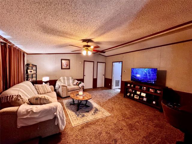 6575 Carnation