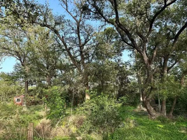 657 Long Hollow Rd, Dale, TX 78616 MLS 2013234