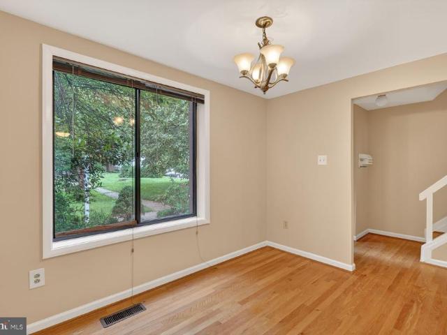 6584 Sweet Fern