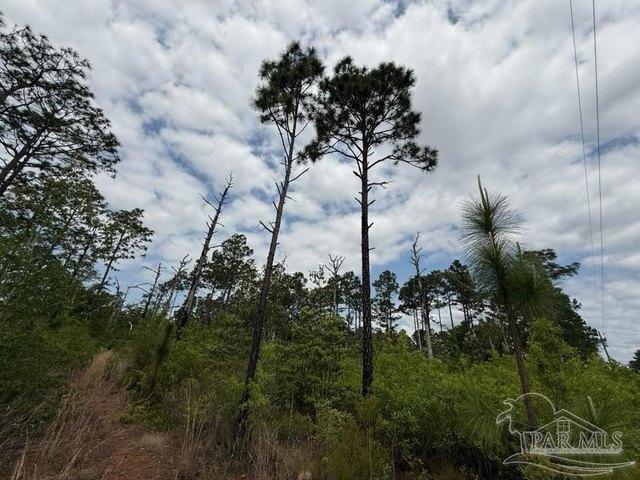 6589 2 Aegean Dr, Milton, FL 32583