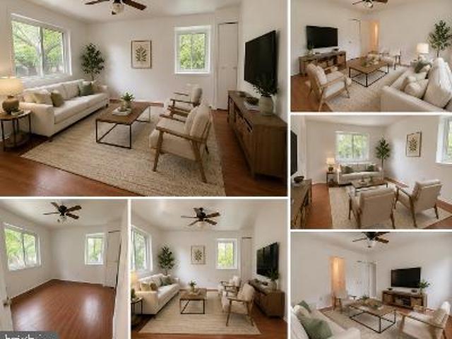 6581 Sweet Fern