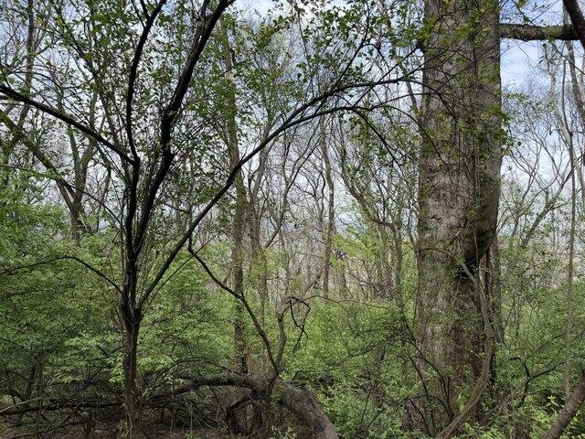 6583 Fairview Rd, Hixson, TN 37343