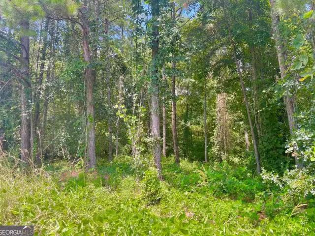 6597 Dana Dr, Macon, GA 31220 MLS 10359401