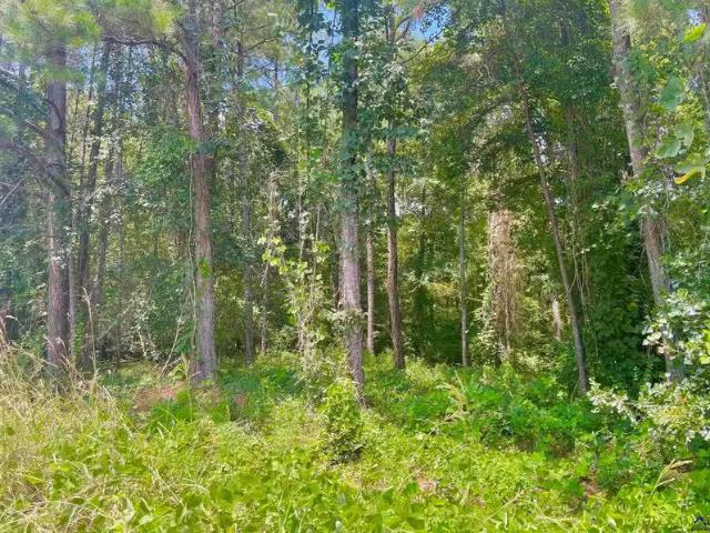 6597 Dana Dr, Macon, GA 31220 MLS 245154