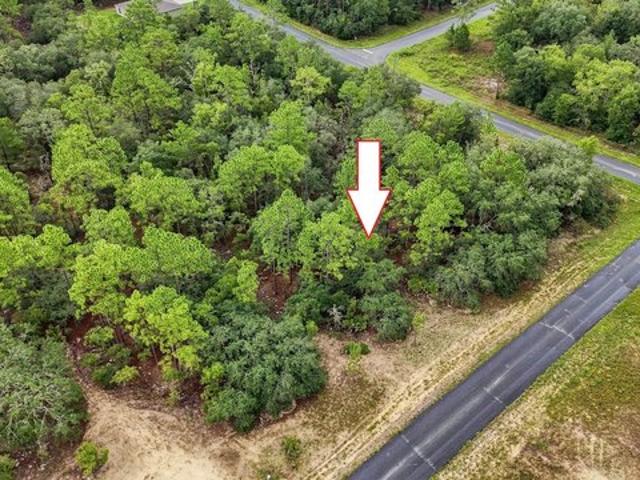 6599 N Airmont Dr, Dunnellon, FL 34433