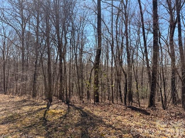 659 Bent Creek Drive # 35