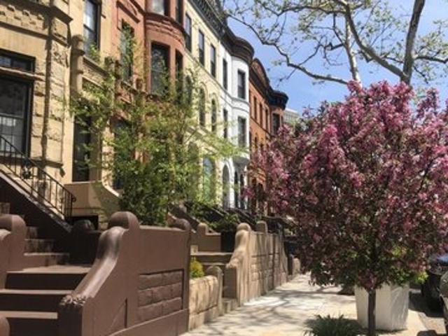 659 Putnam Ave Apt 1, Brooklyn, NY 11221
