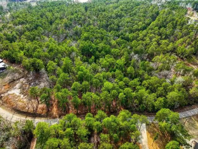 65 67 Shoreline Dr Lots 65, Brookeland, TX 75931