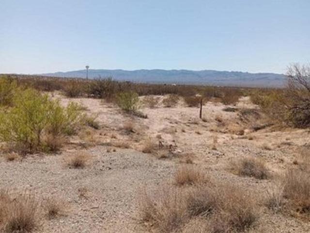 65 1/2 Sec 11 Psl Lot 17E, Fort Hancock, TX 79839