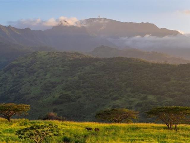 65 283 Kaukonahua Rd Unit 7, Waialua, HI 96791