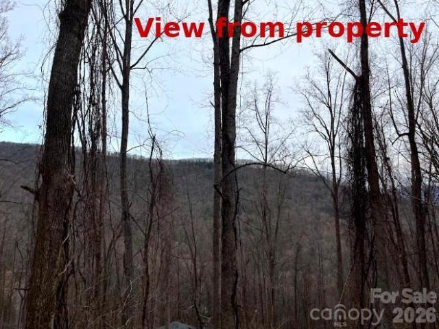 65 Weeping Cherry Forest Road