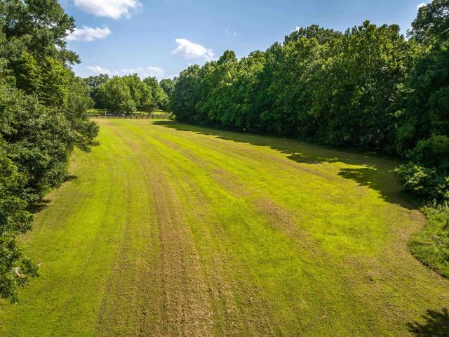 65 ainsley manor dr