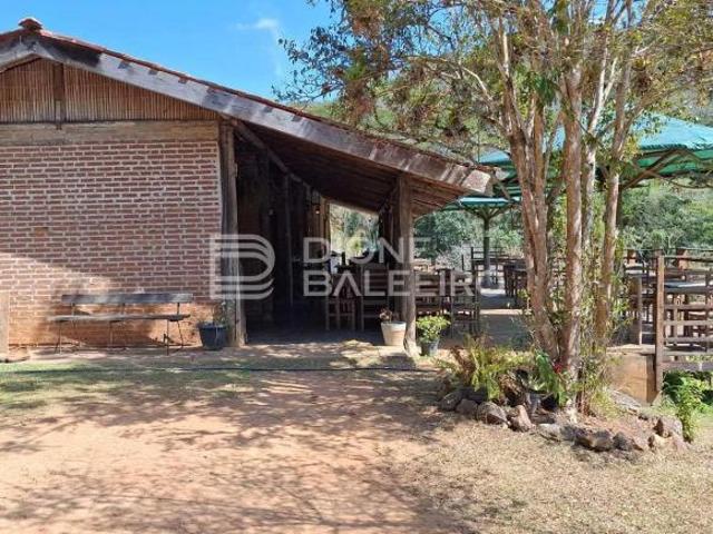 65 Alqueires na serra: Cachoeira e mata preservada
