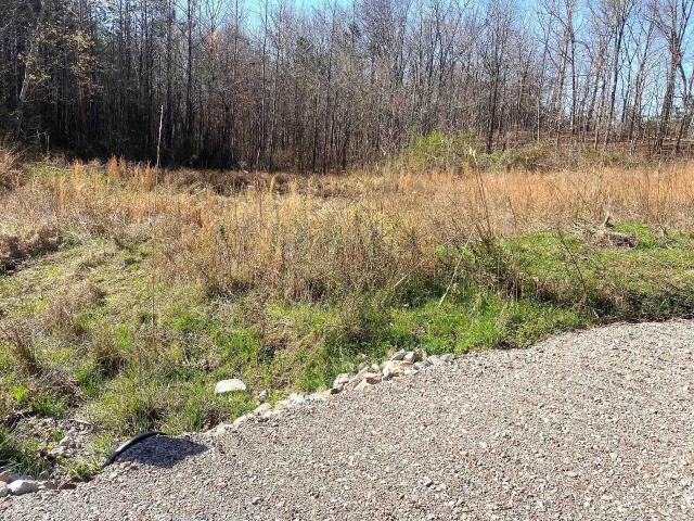 65 amelia briann dr