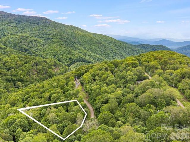 65 Bee Tree Ln, Mars Hill, NC 28754