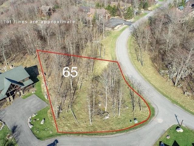 65 Camp Cir, McHenry, MD 21541