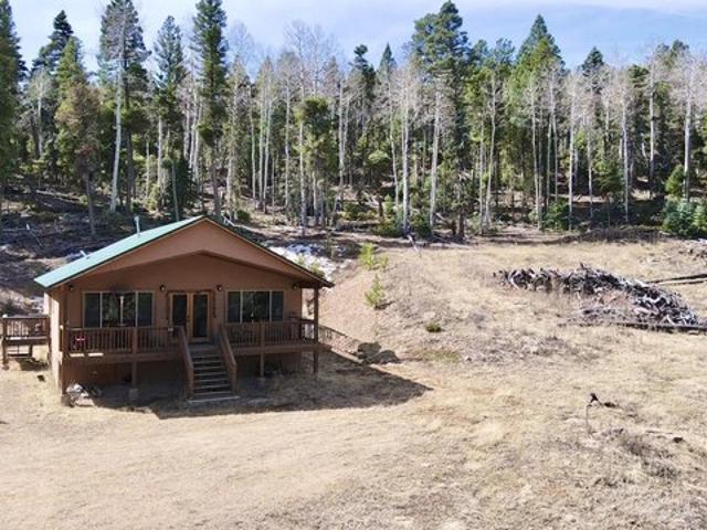 65 David Robins Ln, Eagle Nest, NM 87718